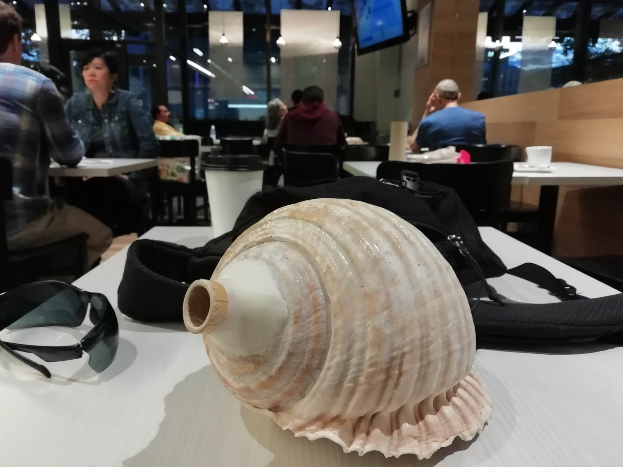 Listening through the world of a sea shell! – Sound Xplorer