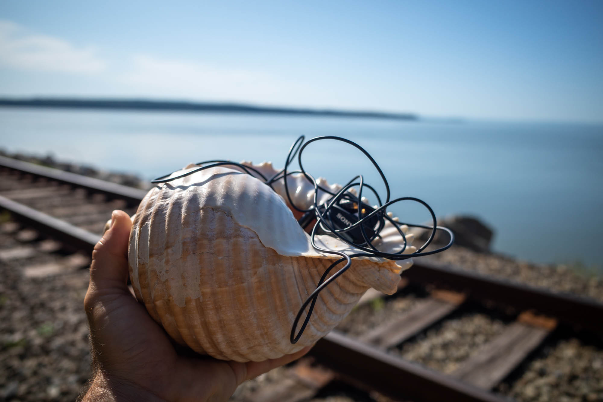 Listening through the world of a sea shell! – Sound Xplorer