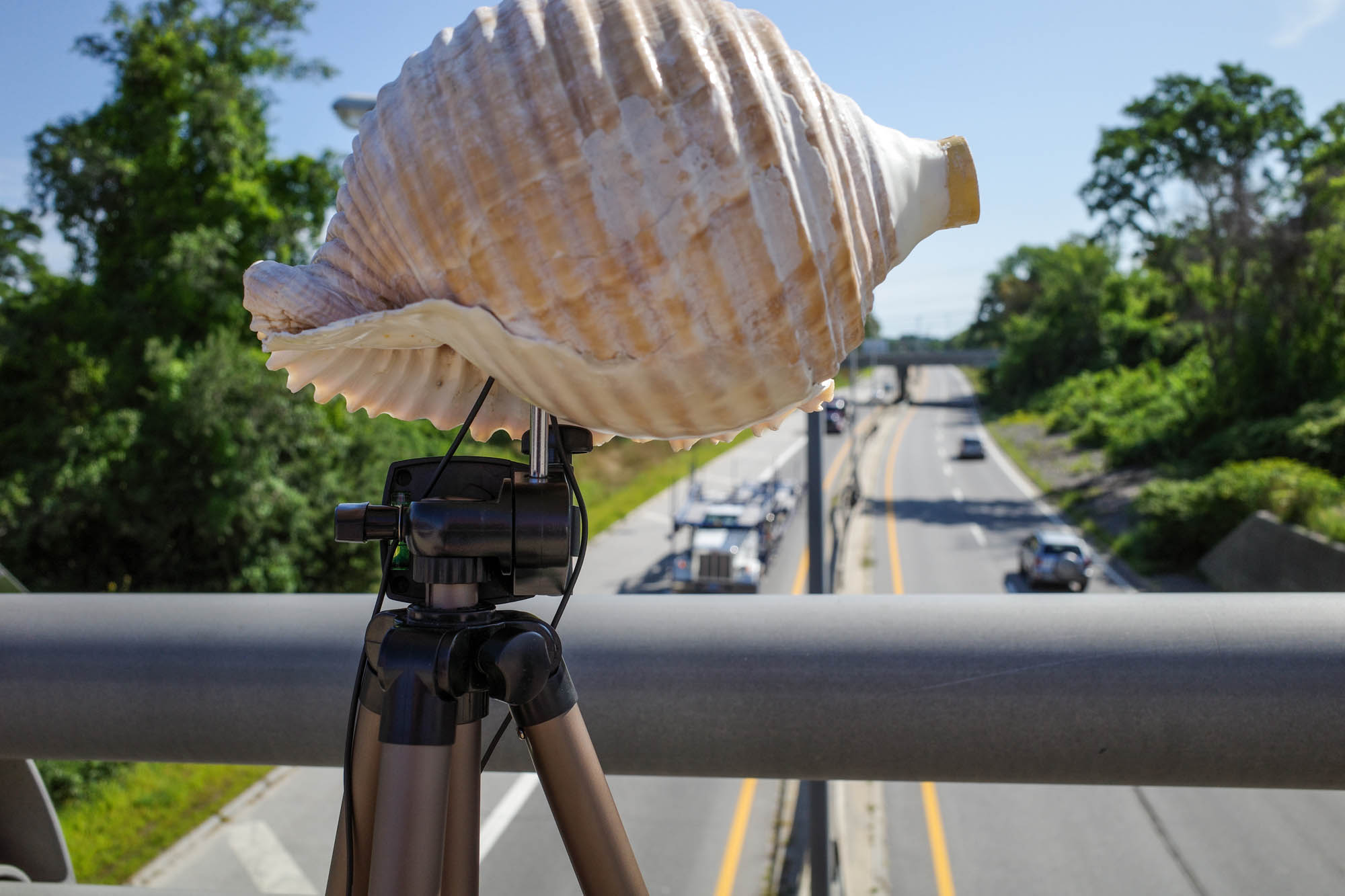 Listening through the world of a sea shell! – Sound Xplorer