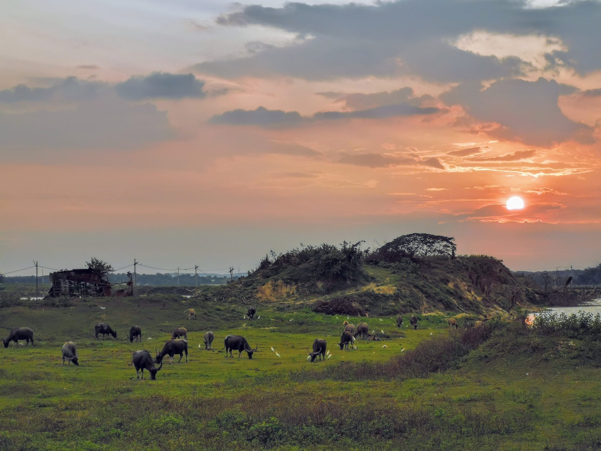 Journal Entry: Day 17 – Sound Xplorer