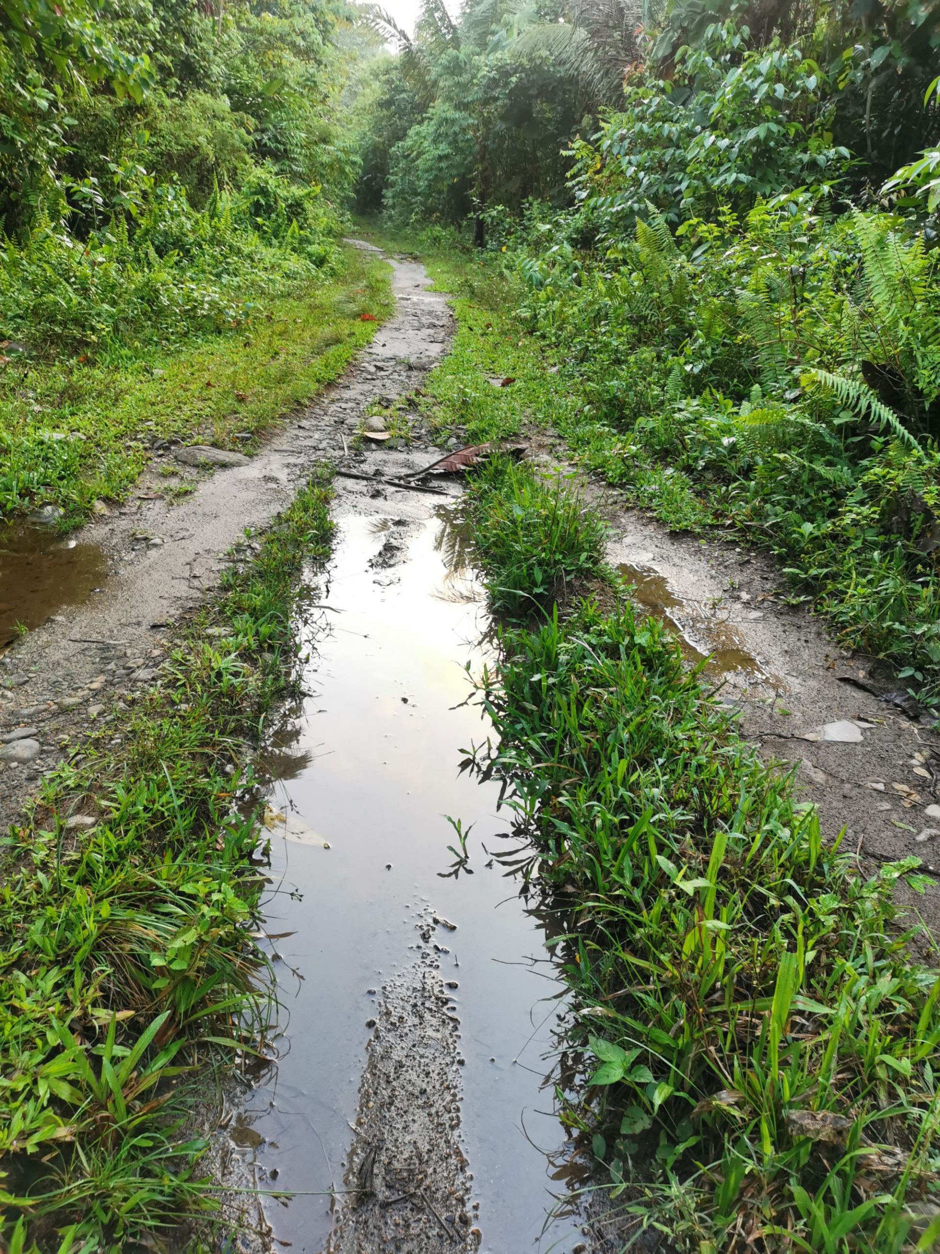 Journal Entry: Day 282 – Sound Xplorer