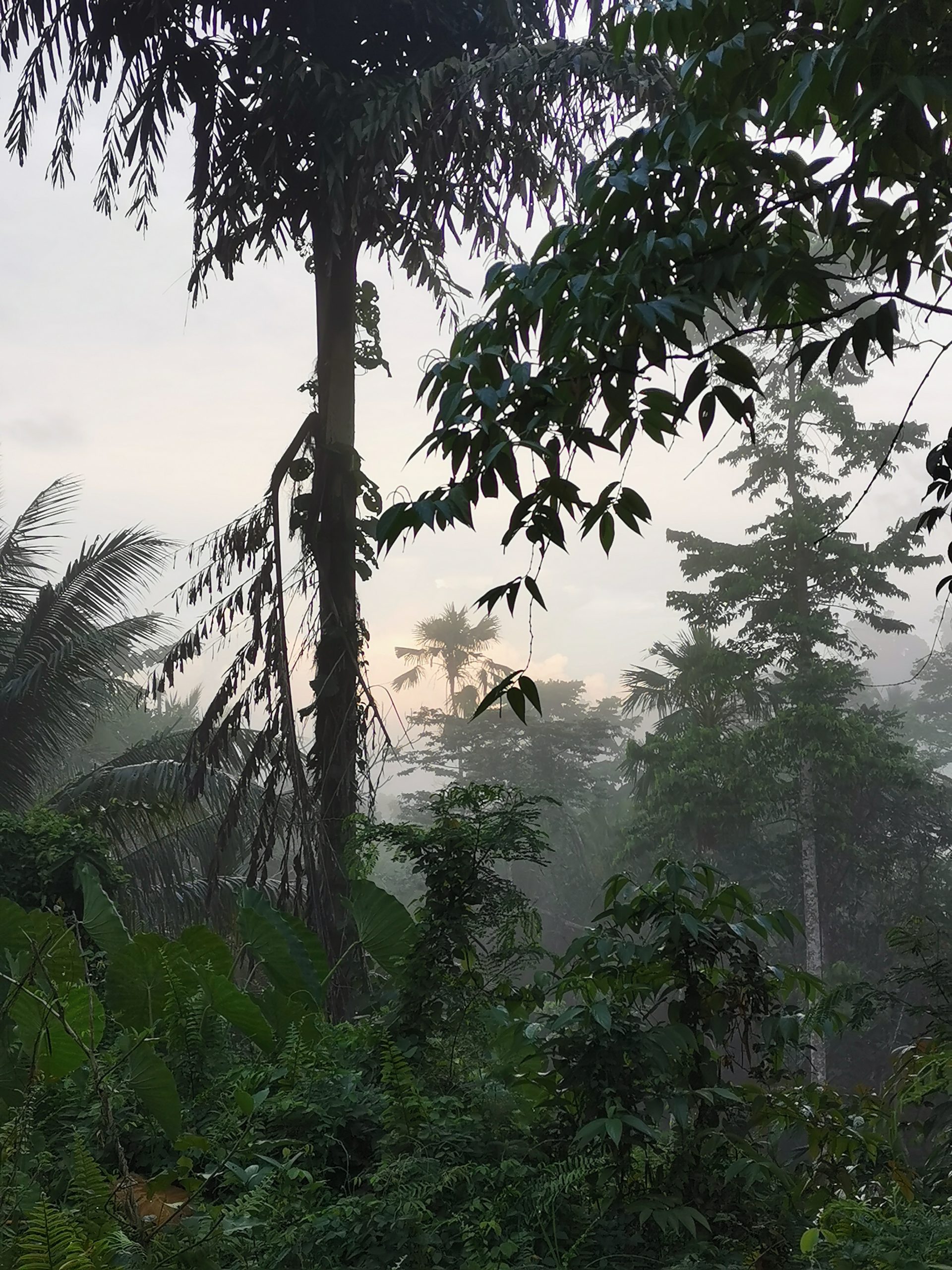 Journal Entry: Day 282 – Sound Xplorer